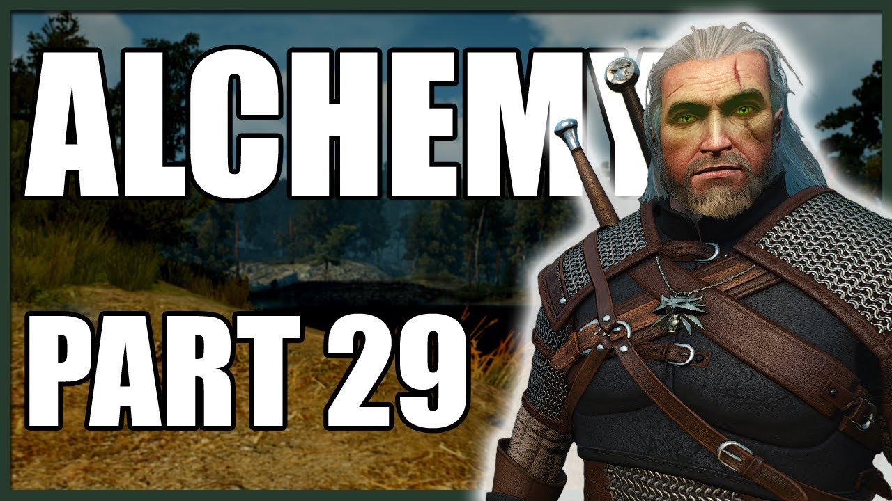 Foglets and Echoes of the Past - The Witcher 3 Wild Hunt #29 - YouTube