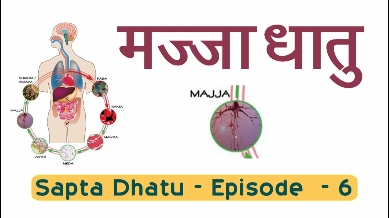 Saptadhatu Episode 7 - Majja Dhatu - क्या महत्व है मज्जा धातु का ...