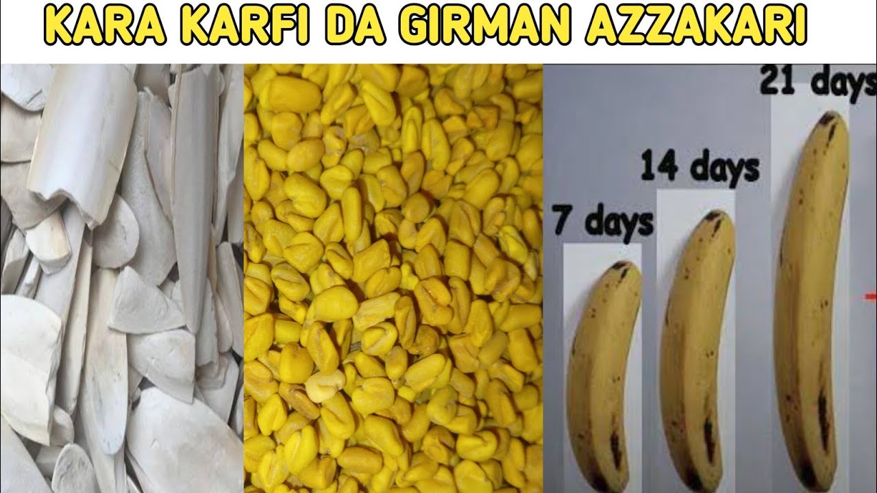 Kara Karfi Da Girman Azzakari - YouTube