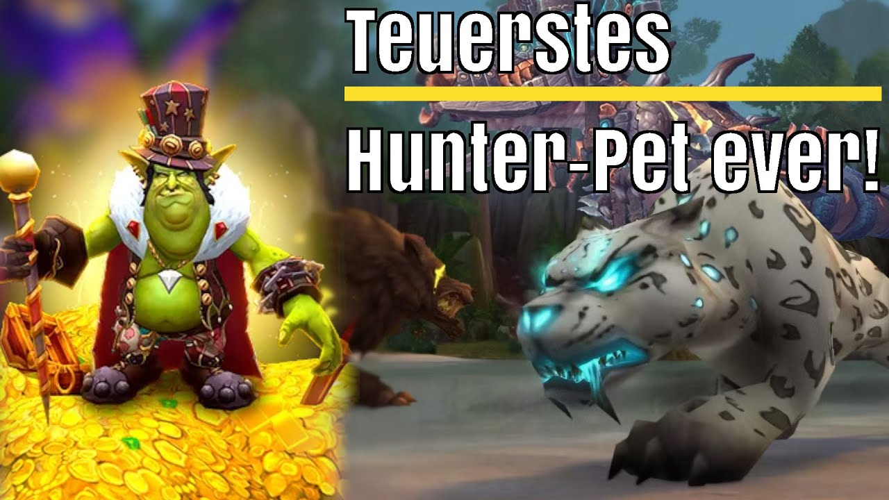 GOBLIN-ABZOCKE!? 500.000 Gold für einen BEGLEITER: Das TEUERSTE Hunter ...