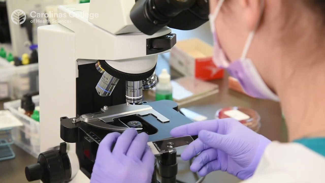 Medical Laboratory Science program at Carolinas College - YouTube