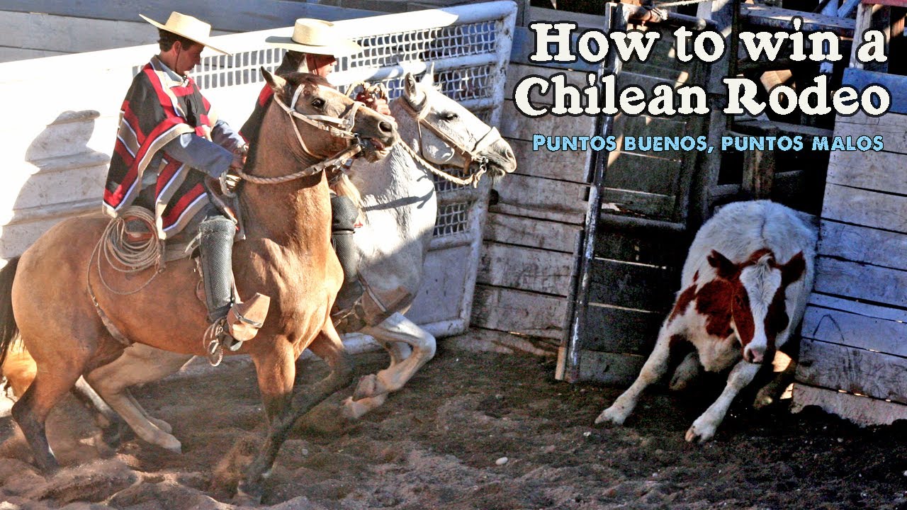How to win a Chilean Rodeo - Puntos buenos, puntos malos. - YouTube