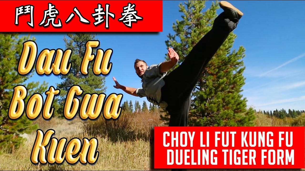 Choy Li Fut Kung Fu - Dau Fu Bot Gwa Kuen - Duelling Tiger 8 Diagram Fist - 鬥虎八卦拳 - YouTube