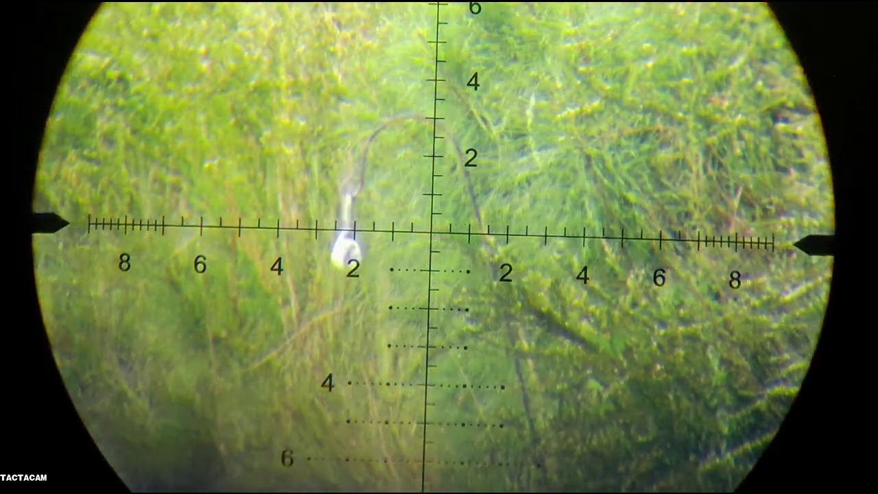 Practicing for a 22lr PRS Match - YouTube