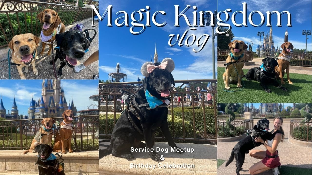 Disney World Vlog | Magic Kingdom | Service Dog Meetup - YouTube