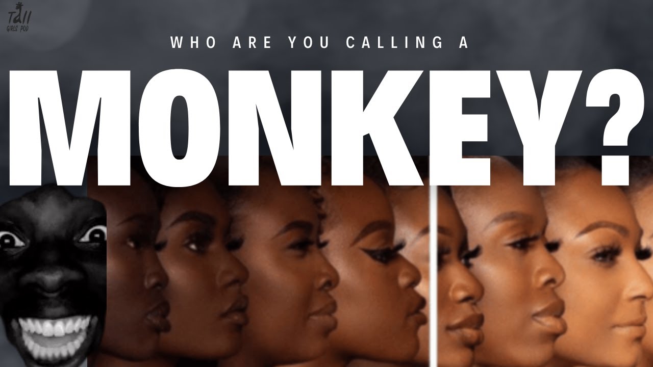SO DARK-SKINNED BLACK PEOPLE ARE “MONKEYS” BUT LIGHT-SKINNED BLACK ...