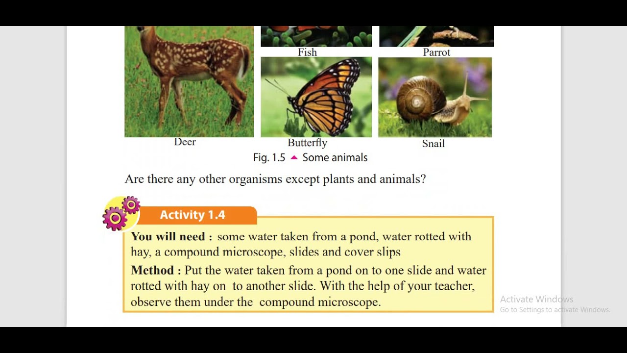Grade 6 Science unit 1 (English Medium) - YouTube