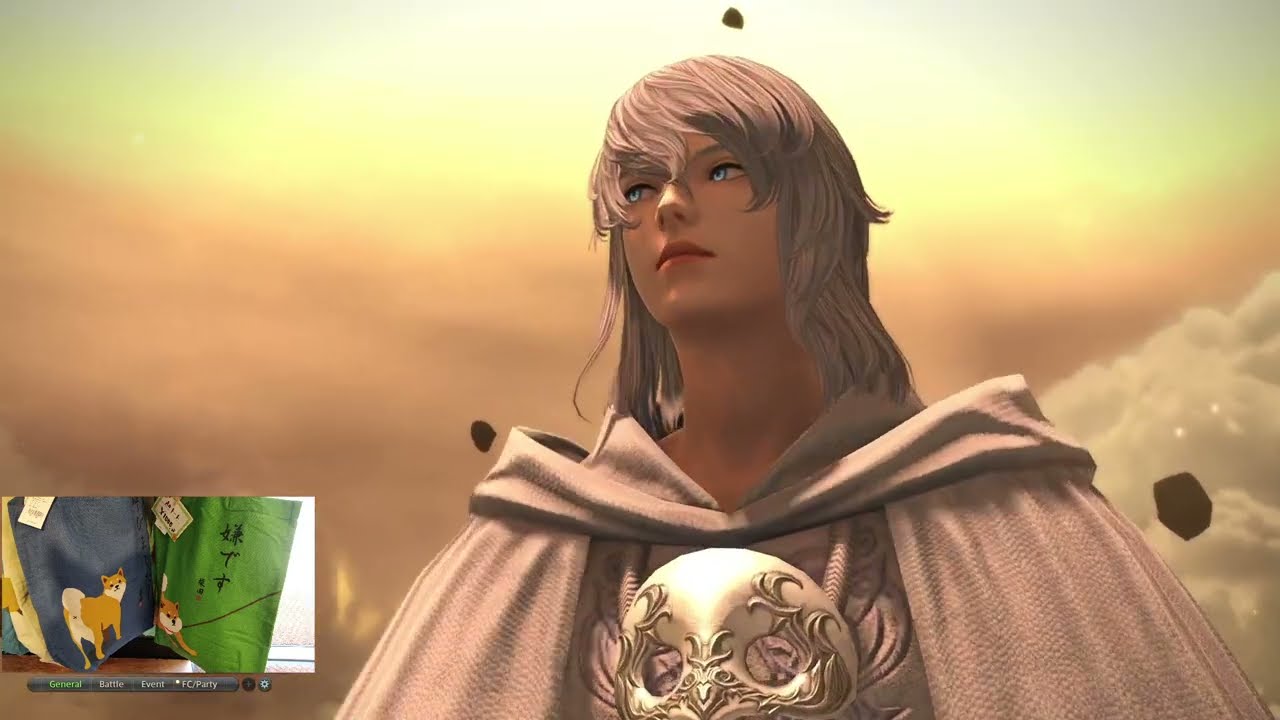 【KY精華】20220118 PC FF14 萬魔殿零式三層 P3S Second week first clear - YouTube