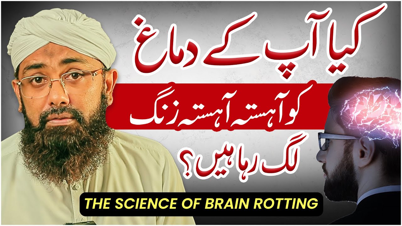 The ABSOLUTE BEST Way To Regain Brain Control Is Through MINDFULNESS ...