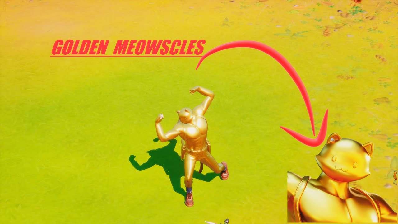 Golden meowscles gameplay - YouTube