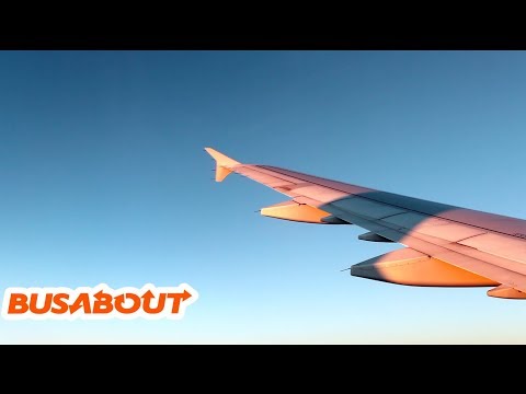 BusAbout Ultimate Travel Squad Application! (Instagram & Instagram/Snapchat Stories)
