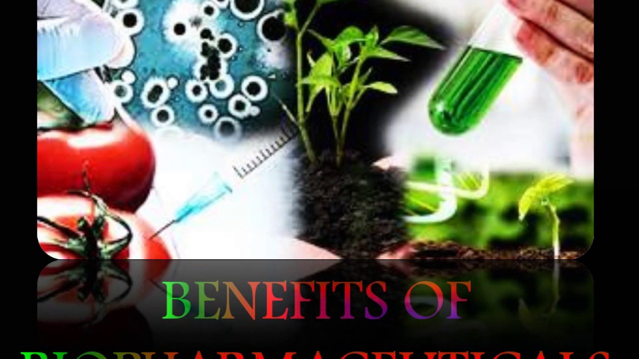 Royals - Biopharmaceuticals, Biopharming, and Vaccines - YouTube