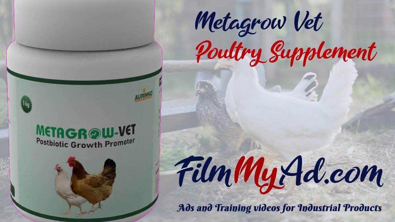 Poultry Industry- Exhibition Videos created- Metagrow Vet -Poultry Feed Supplement - YouTube