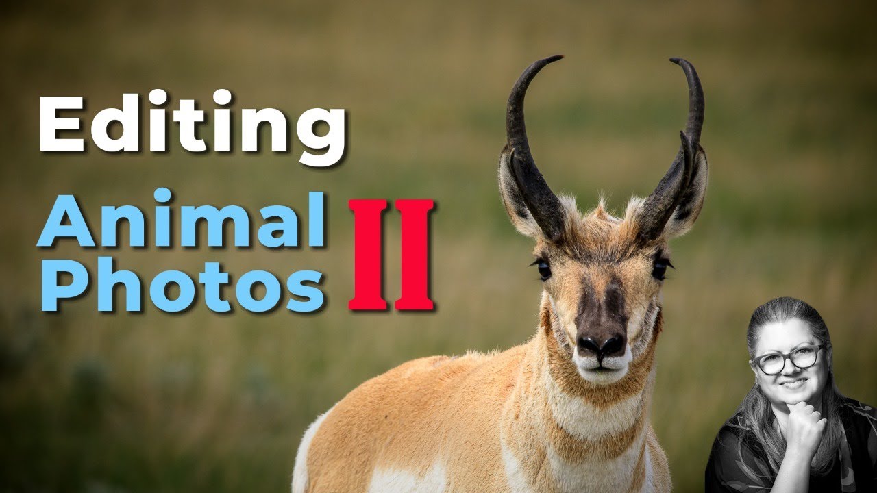 Learn How to Edit ANIMAL Photos - LIVE Photo Editing - YouTube
