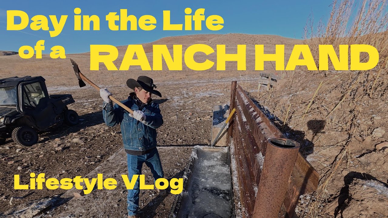 Unexpected, Unscripted: Average-day Ranch Life VLog - Giving shots ...