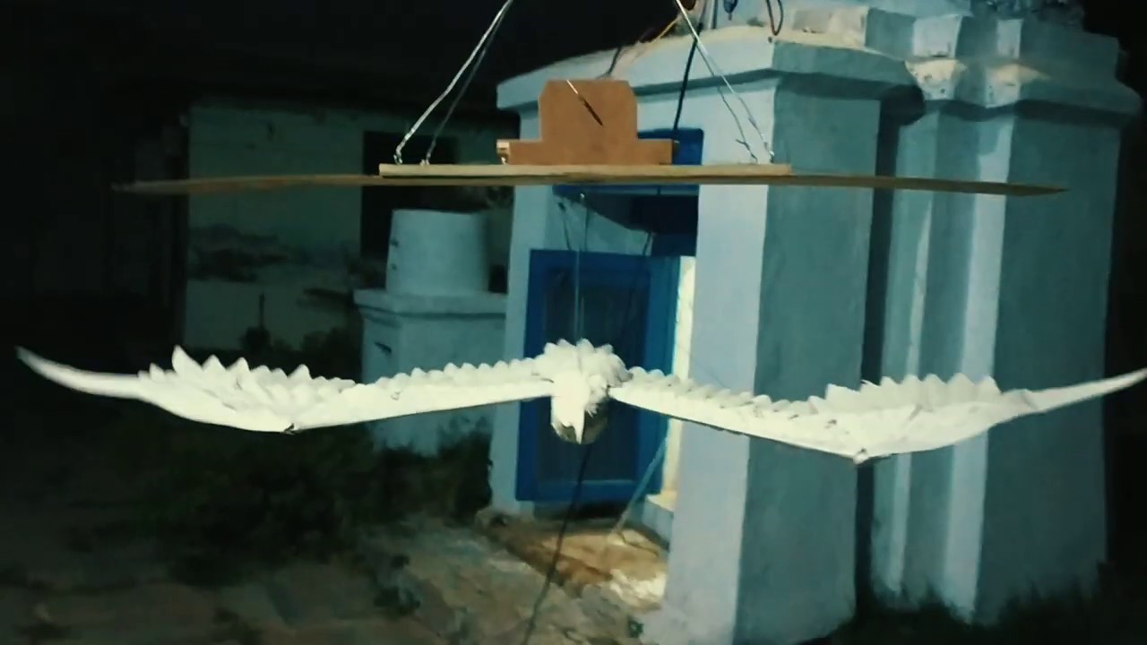 #Bald #eagle #mechanism - YouTube