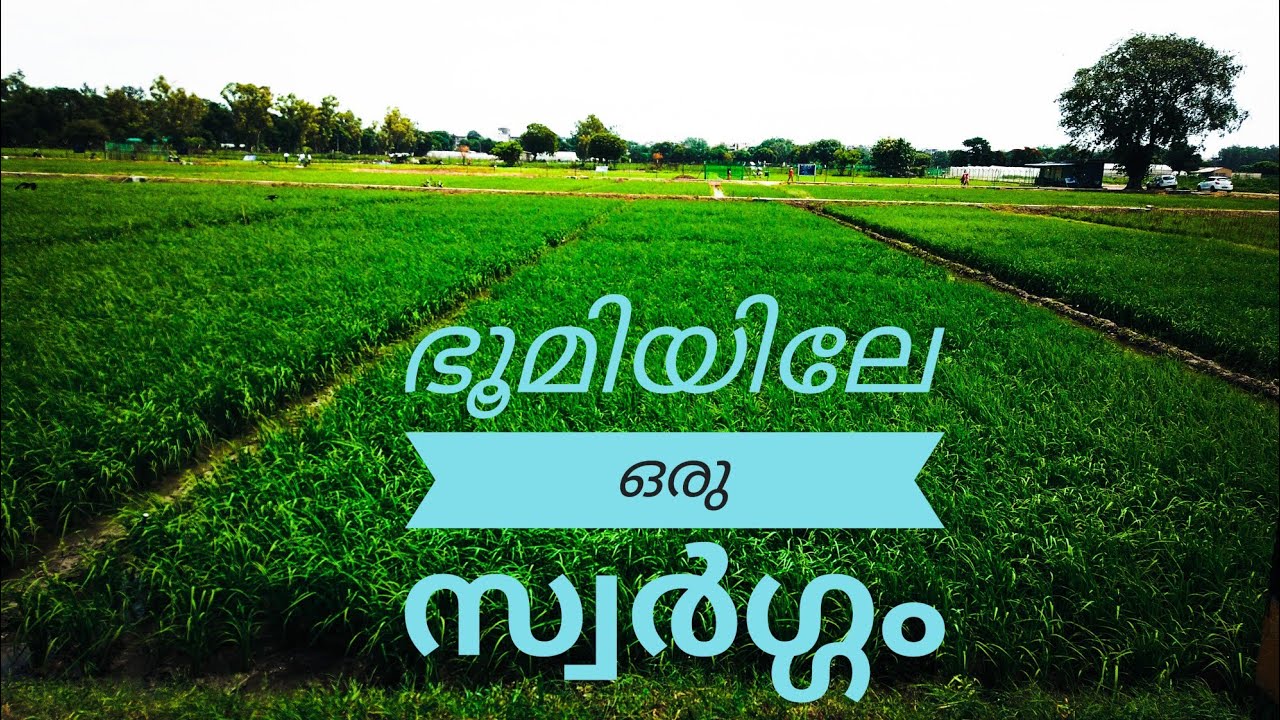 Indian Agricultural Research Institute Pusa New Delhi - YouTube