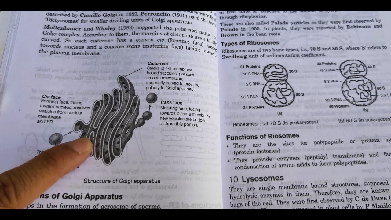 Biology Handbook [ Arihant Publication ] // Handbook of Biology ...
