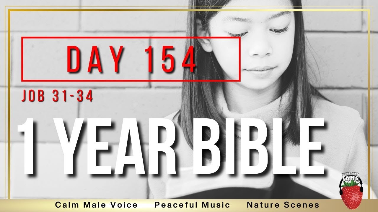 Day 154 | Job 31 -34 | Audio Bible | NIV One Year Bible - YouTube