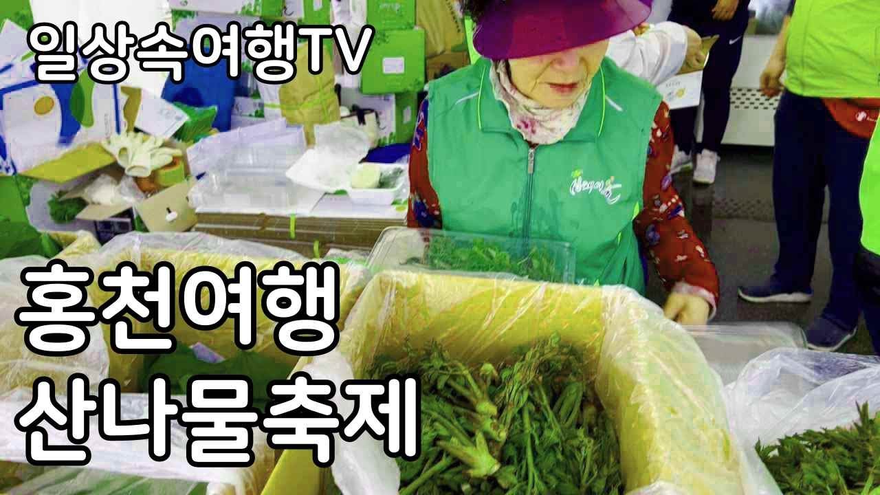 국내여행 가볼만한 곳 맛과 향에 취하는 홍천산나물축제 Wild Vegetable Festival Trip, Hongcheon ...