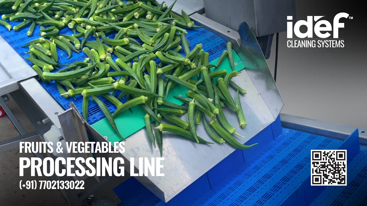 Vegetables Processing Line, Vegetable Washer, Brush Washer, Fruits Processing Line, IDEF - YouTube