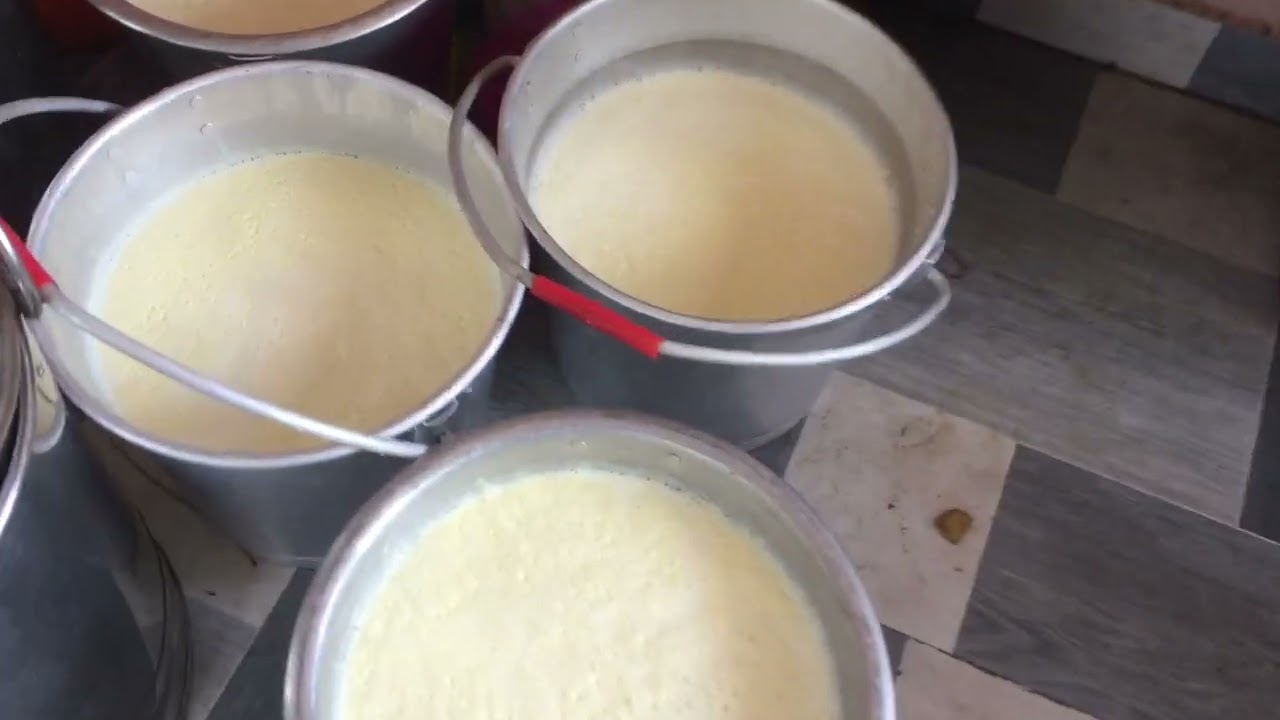 MTS UPS ONAM CELEBRATIONS 2022 *HAPPY ONAM* - YouTube