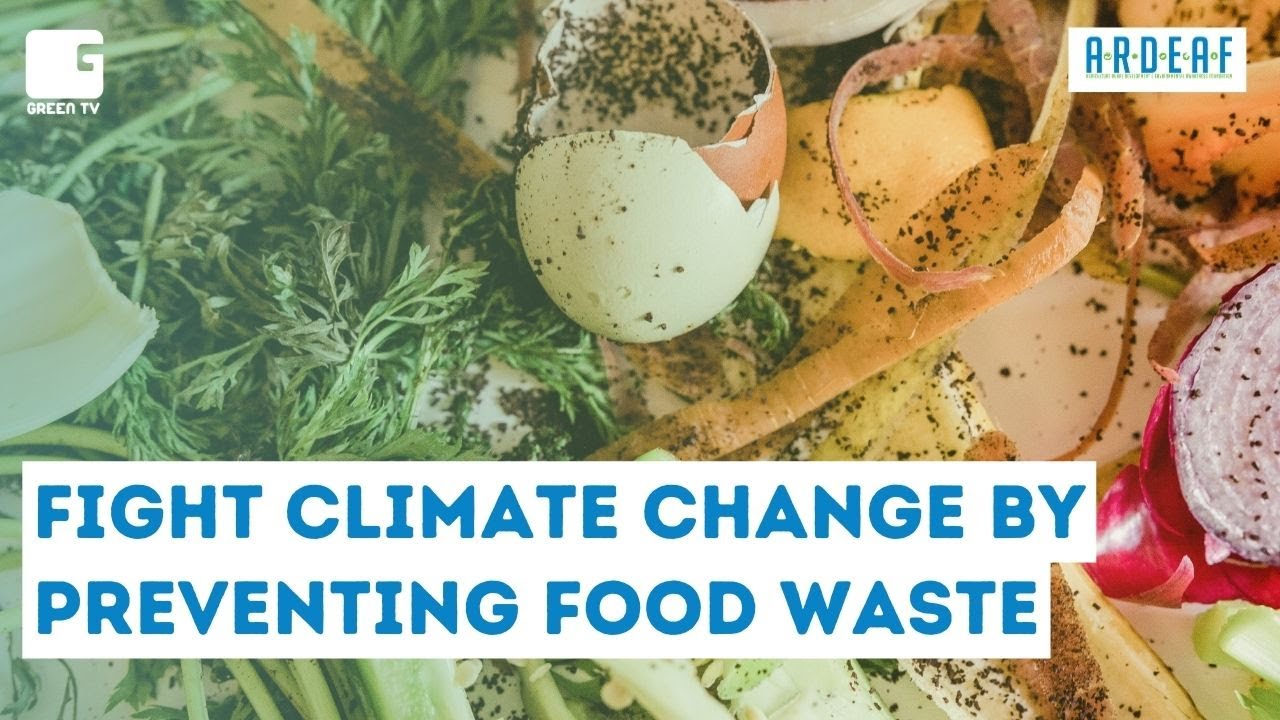 How Food Waste Affects the Environment | Fight Climate Change By ...