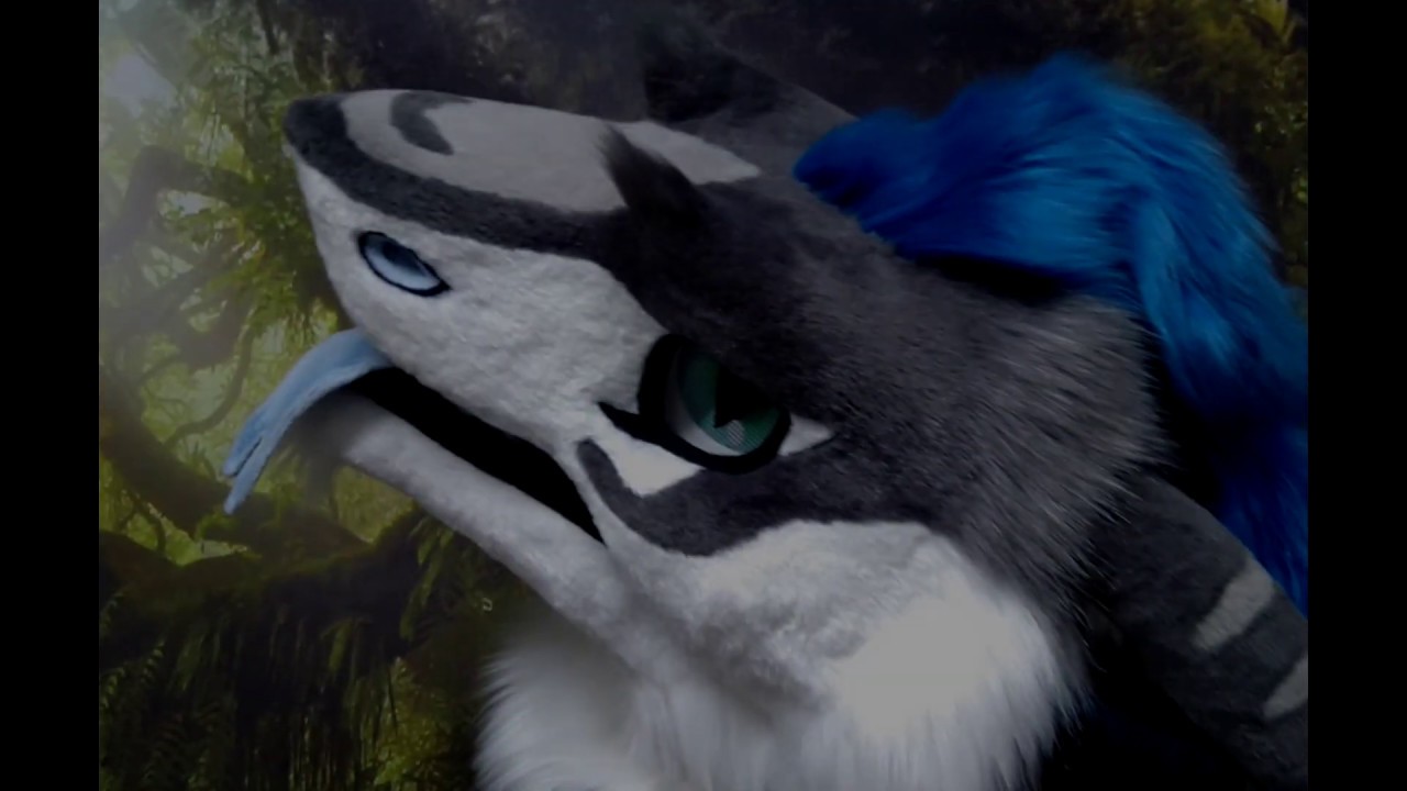 Fursuit Sergal. - YouTube