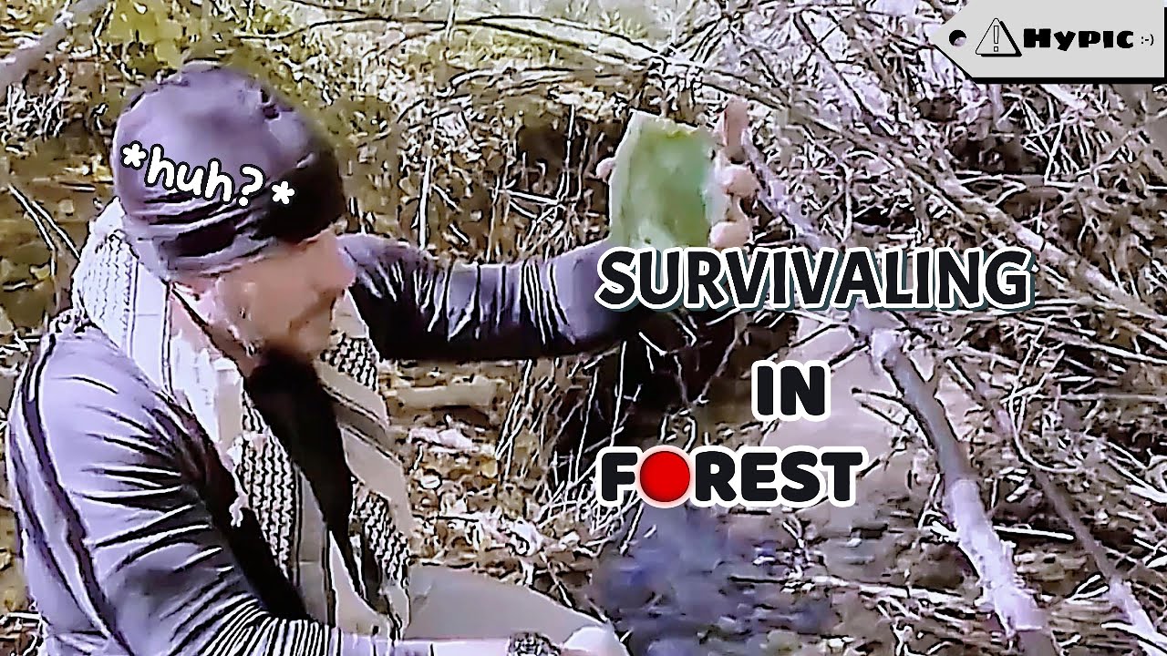 DAILY SURVIVAL-The journey of survival in the wilderness along with ...