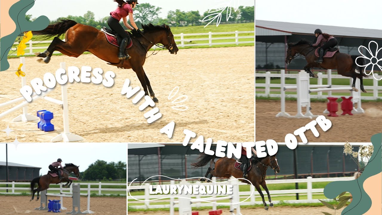 Progress Not Perfection || Retraining a OTTB! - YouTube