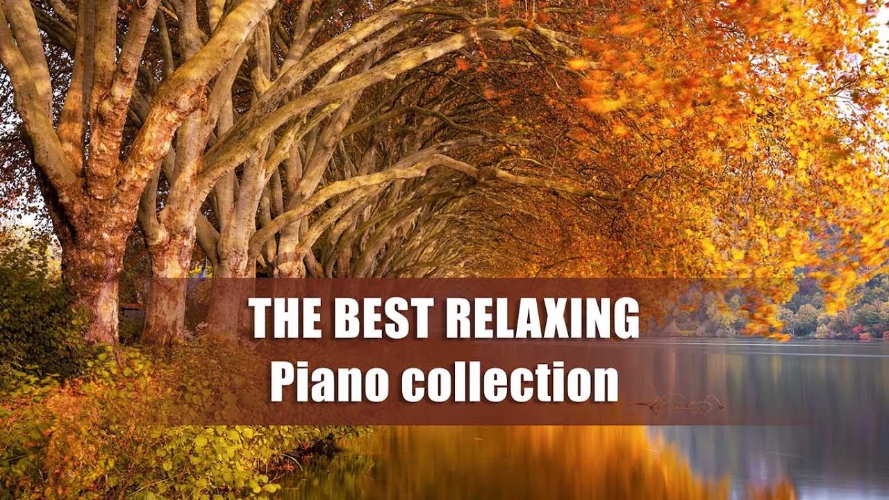 Calm Piano with Bird Sounds: 1-Hour Relaxing Music for Peaceful Moments ...
