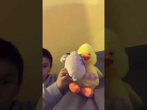 Duck sigma - YouTube
