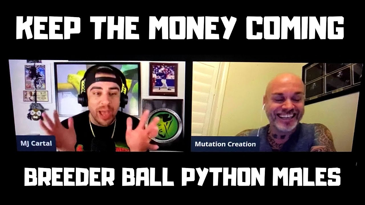 TRAP CLIP TUESDAY'S | BILLY ROWS OF MUTATION CREATION | KEEP THE MONEY ...
