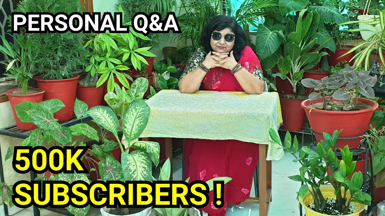 Personal QnA / Questions & Answers || Answering Your Questions about Me ...