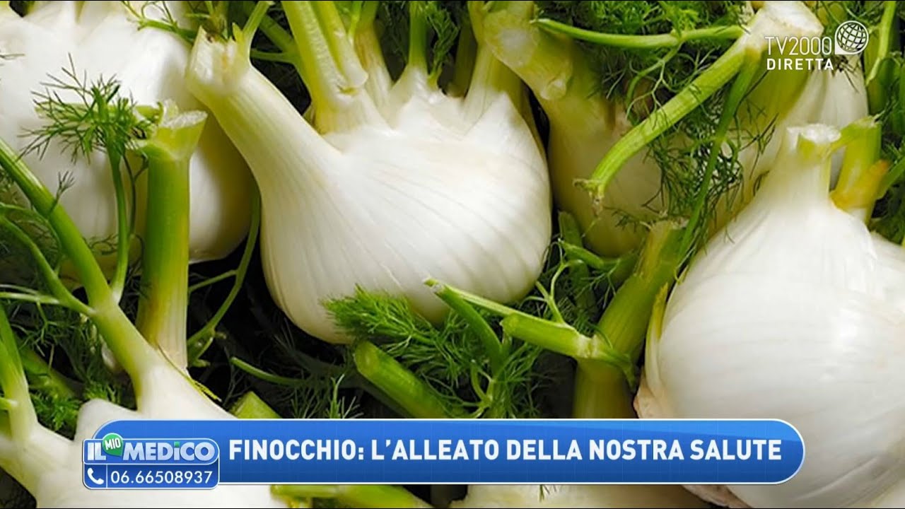 Finocchi, proprietà e consigli su come consumarli in maniera salutare ...