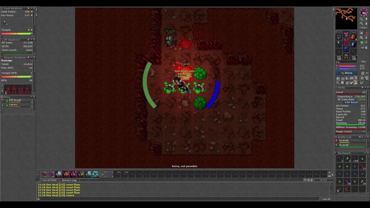 Tibia #14 [ Levels 23-24 / Magic 22 / Ankrahmun Scarabs ] - YouTube