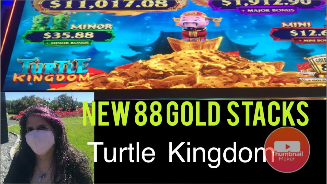 NEW 88 GOLD STACKS 🐢TURTLE KINGDOM🐢Big Win🎉🥳 - YouTube