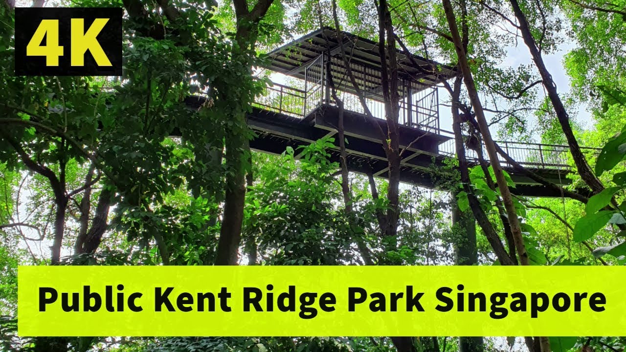 Canopy Walk Public Kent Ridge Park Singapore - YouTube
