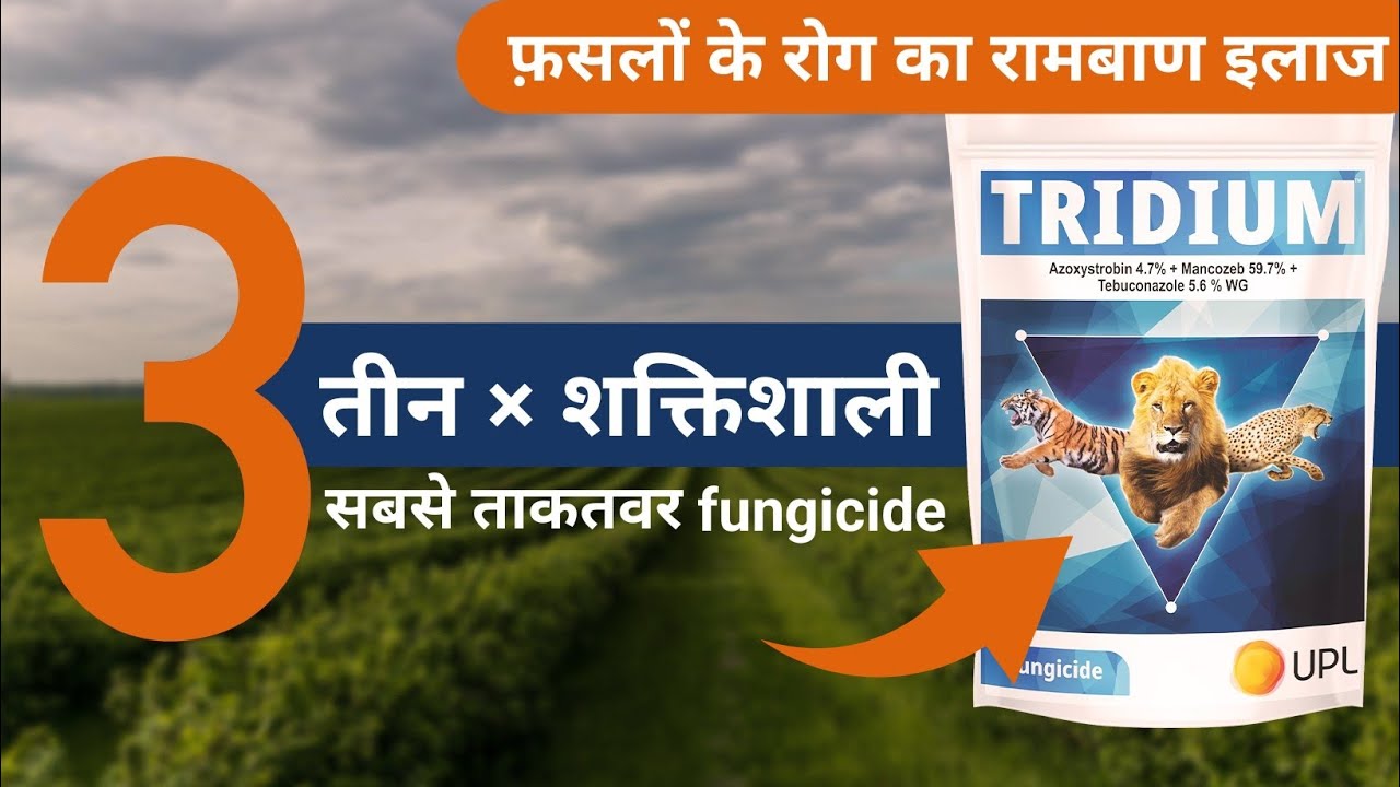 UPL - Tridium 🔥 सबसे शक्तिशाली Fungicide || #upl #tridium #Fungicide ...