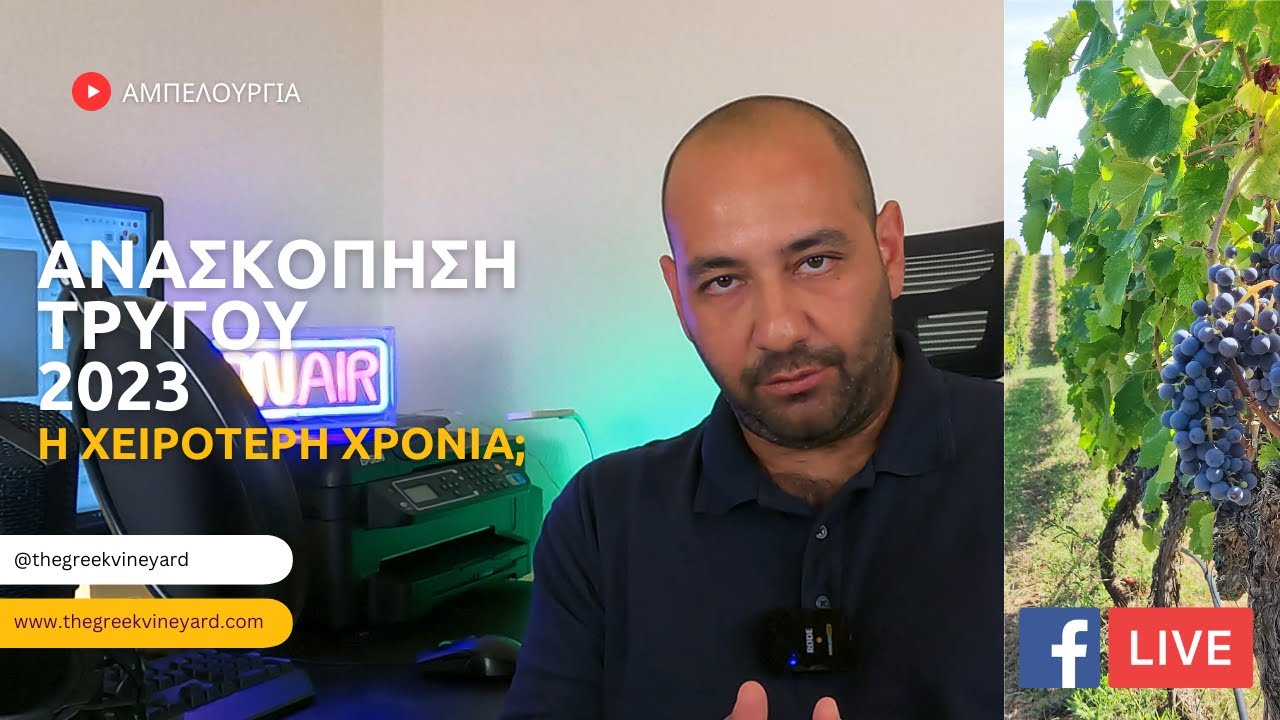 Ανασκόπηση #Τρύγου 2023 | Μια Απο Τις ΧΕΙΡΟΤΕΡΕΣ Χρονιές Τις 20ετίας! # ...