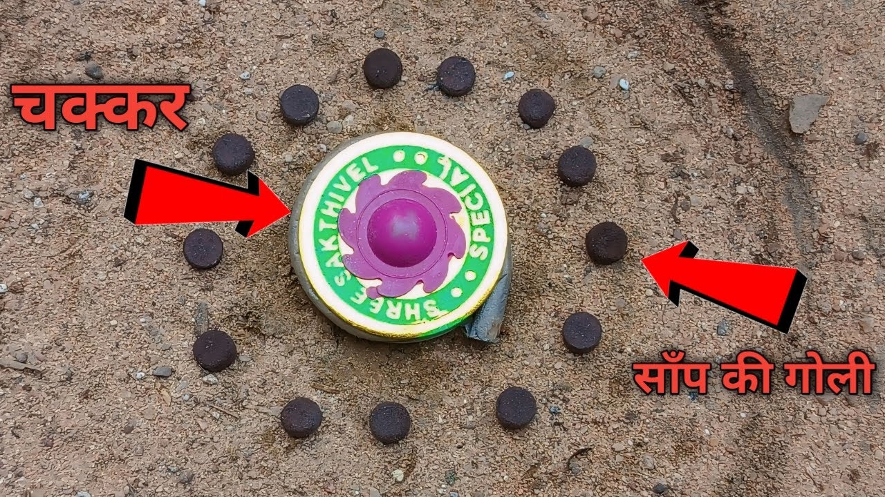 Diwali chakkar and snake pill | Amazing experiment #experiment | क्या ...