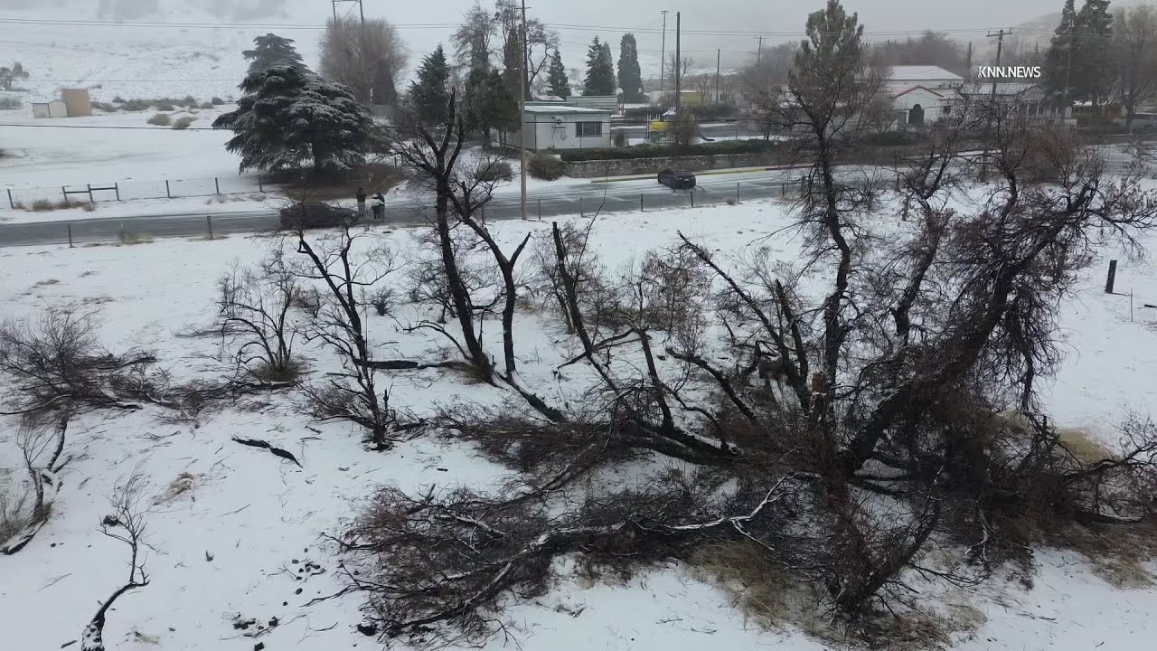 Aerial View of Post-Fire Burn Scar Area in Gorman - YouTube