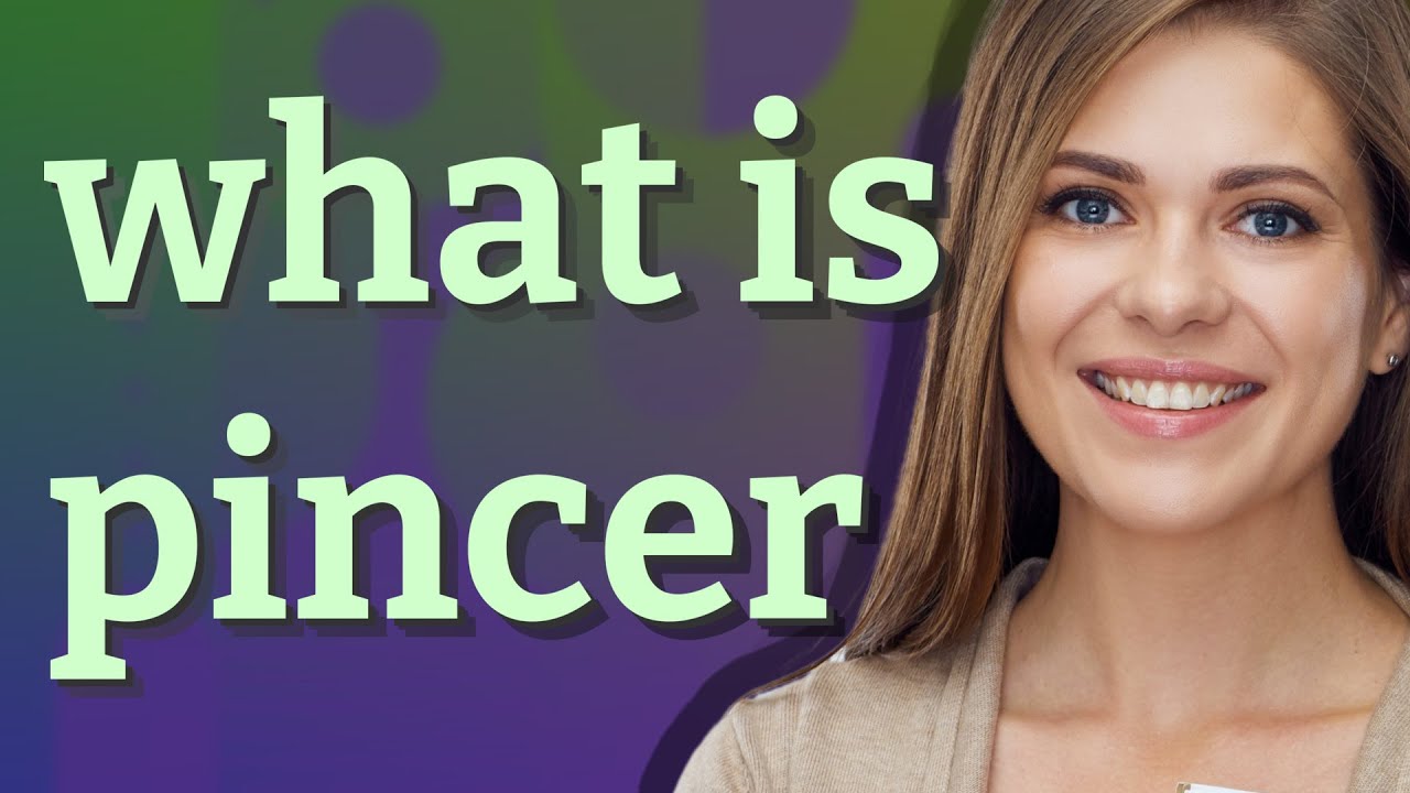 Pincer | meaning of Pincer - YouTube