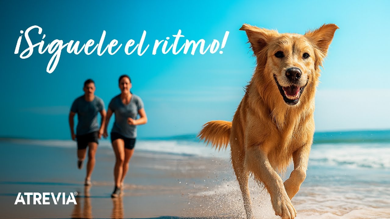 Síguele el ritmo - YouTube