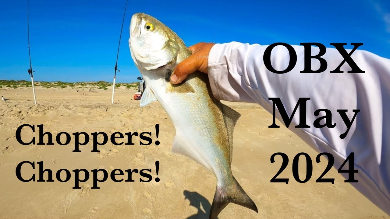 OBX Bluefish Surf Fishing @ Oregon Inlet! Sheepshead - Bonner Bridge ...