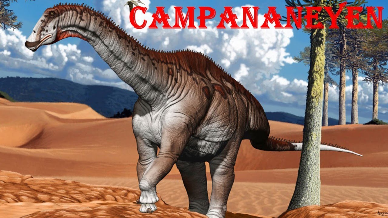 Campananeyen - YouTube