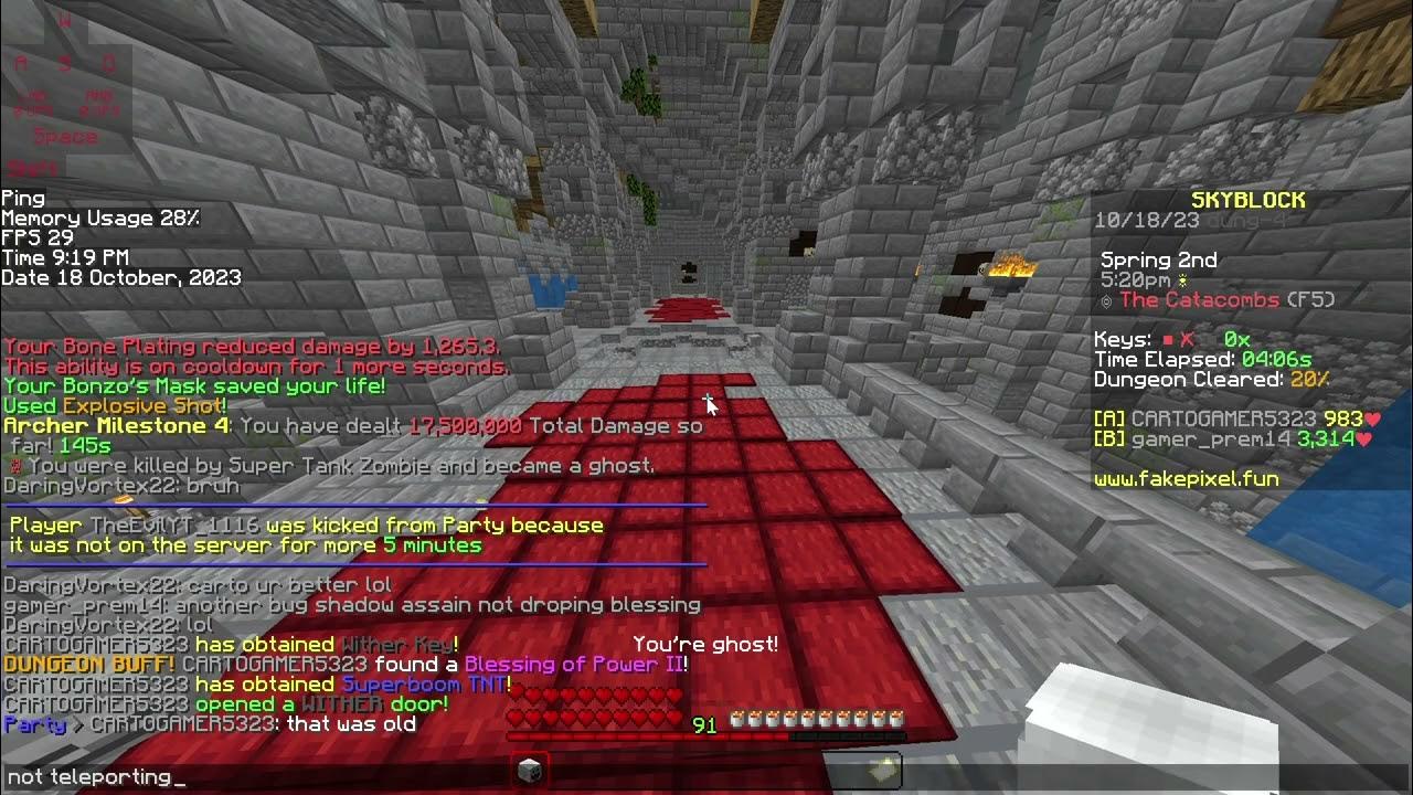 Bug in dungeons ( Fakepixel Skyblock ) - YouTube