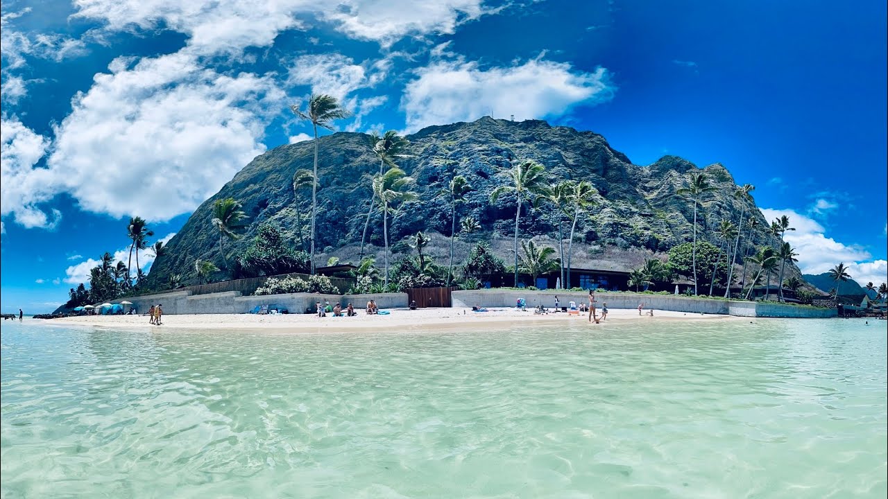 Pahonu Turtle Pond, Waimanalo 🐢 - YouTube