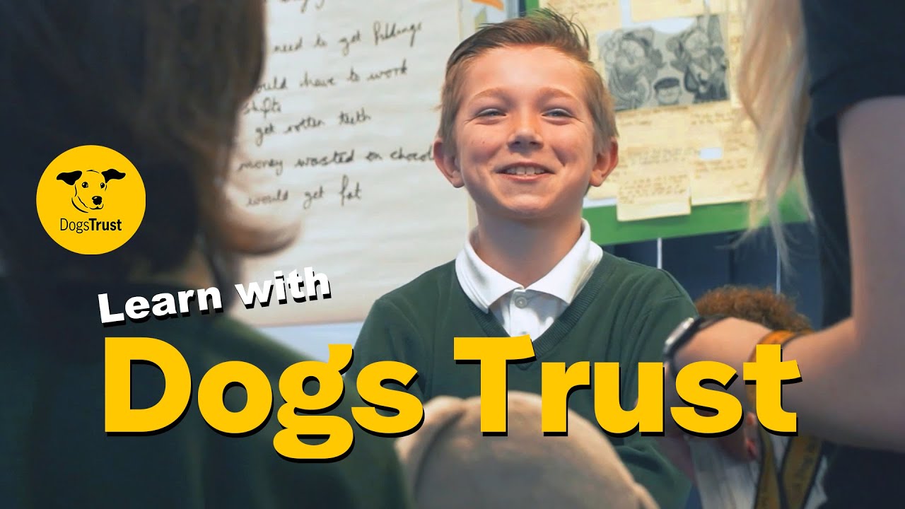 What Are The Aims Of Dogs Trust