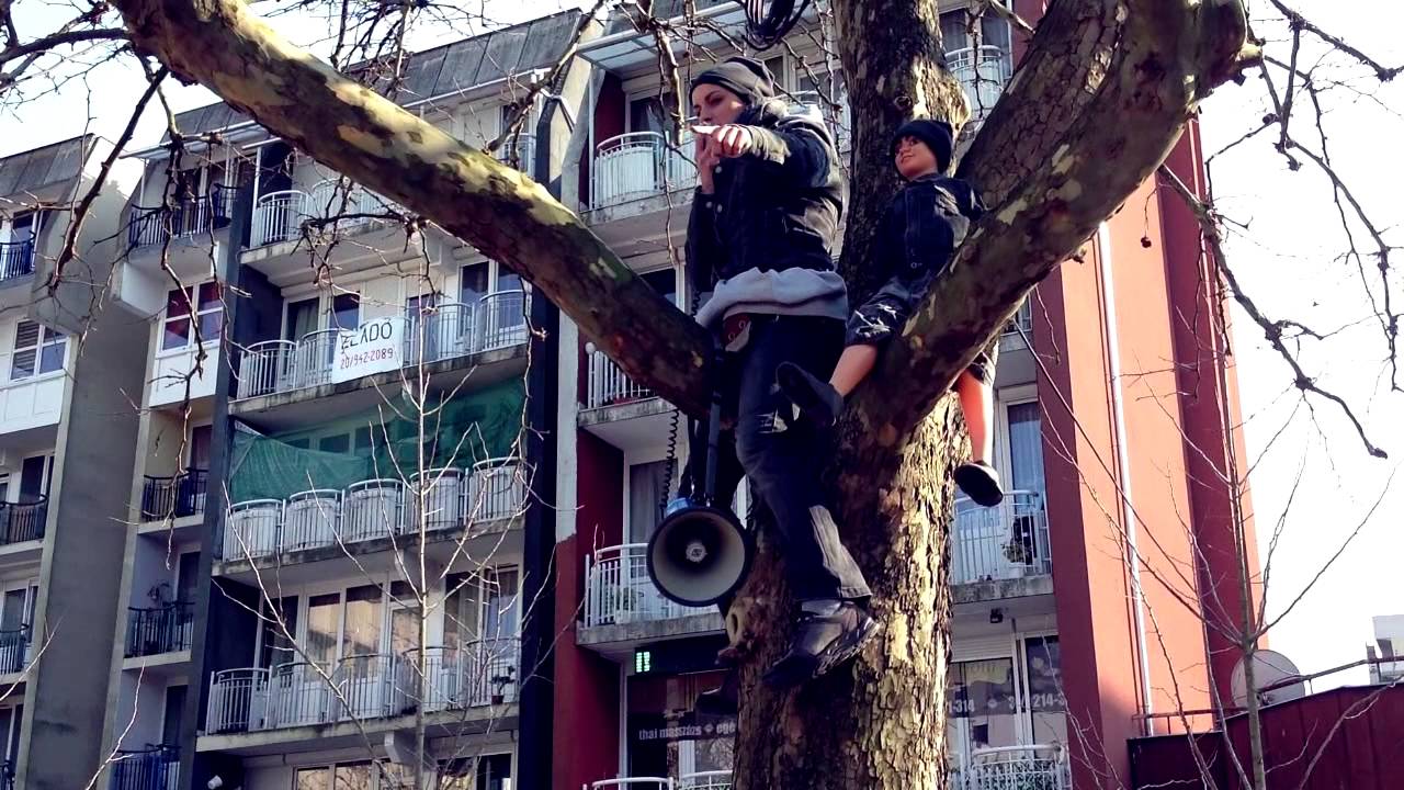 PIERRE ANTHON FENN ÜL A FÁN | FLASHMOB | HEVESI SÁNDOR SZÍNHÁZ - YouTube